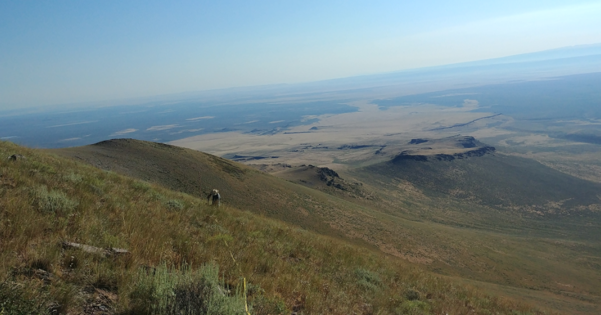 Assessment, Inventory and Monitoring of SE Oregon Rangelands ...